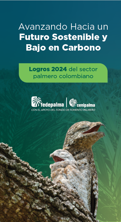 Avanzando hacia un futuro sostenible y bajo en carbono